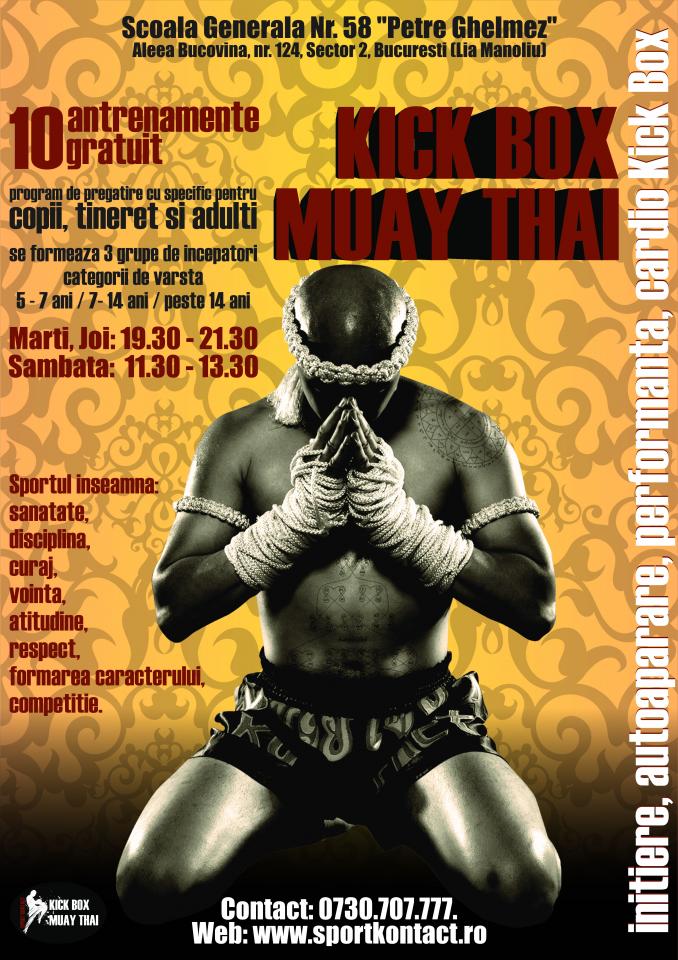 CURSURI DE ARTE MARTIALE (KICK BOX SI MUAY THAI)